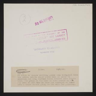 A photographic print of Food & Drink, Flour | Science Museum Group ...