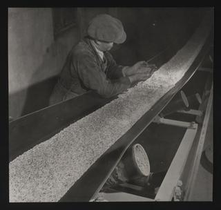 A photographic print of Food & Drink, Flour | Science Museum Group ...