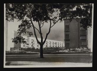 A photographic print of Home & Housing, Pre War Only, Housing - Flats ...