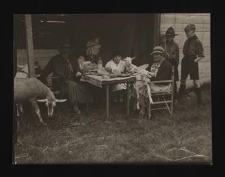 A photographic print of Goats | Science Museum Group Collection