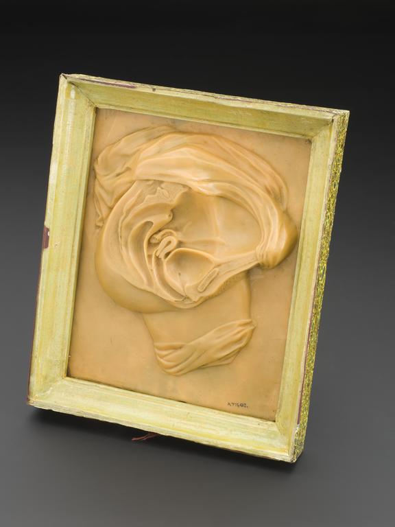 Wax plaque in glazed wooden frame | Science Museum Group Collection