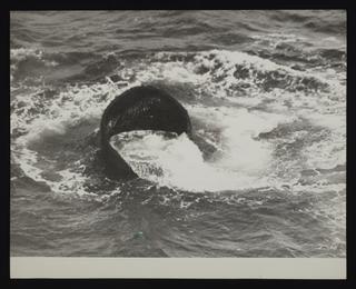 A photographic print of Industry, Fuel & Power, Oil & Gas From Sea Bed ...