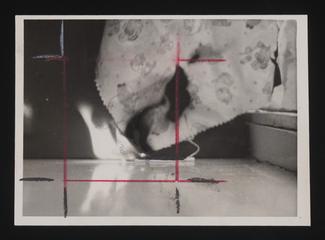 A photographic print of Industry, Textiles - Cloth, Fire-Proof, Non ...