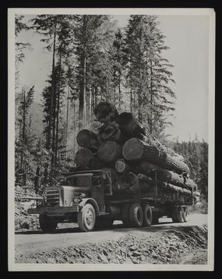 A photographic print of Industry, Timber, USA - Post War | Science ...