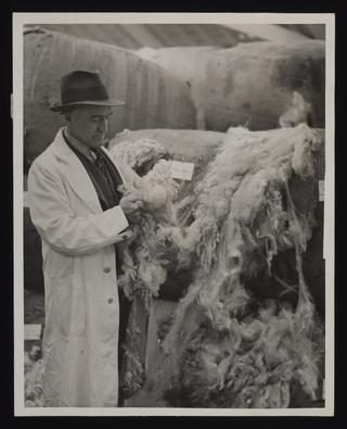 A photographic print of Industry, Textiles - Wool, General | Science ...