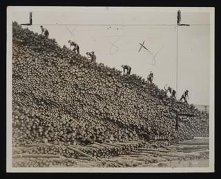 A photographic print of Industry, Timber, Pit props | Science Museum ...