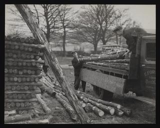 A photographic print of Industry, Timber, Pit props | Science Museum ...