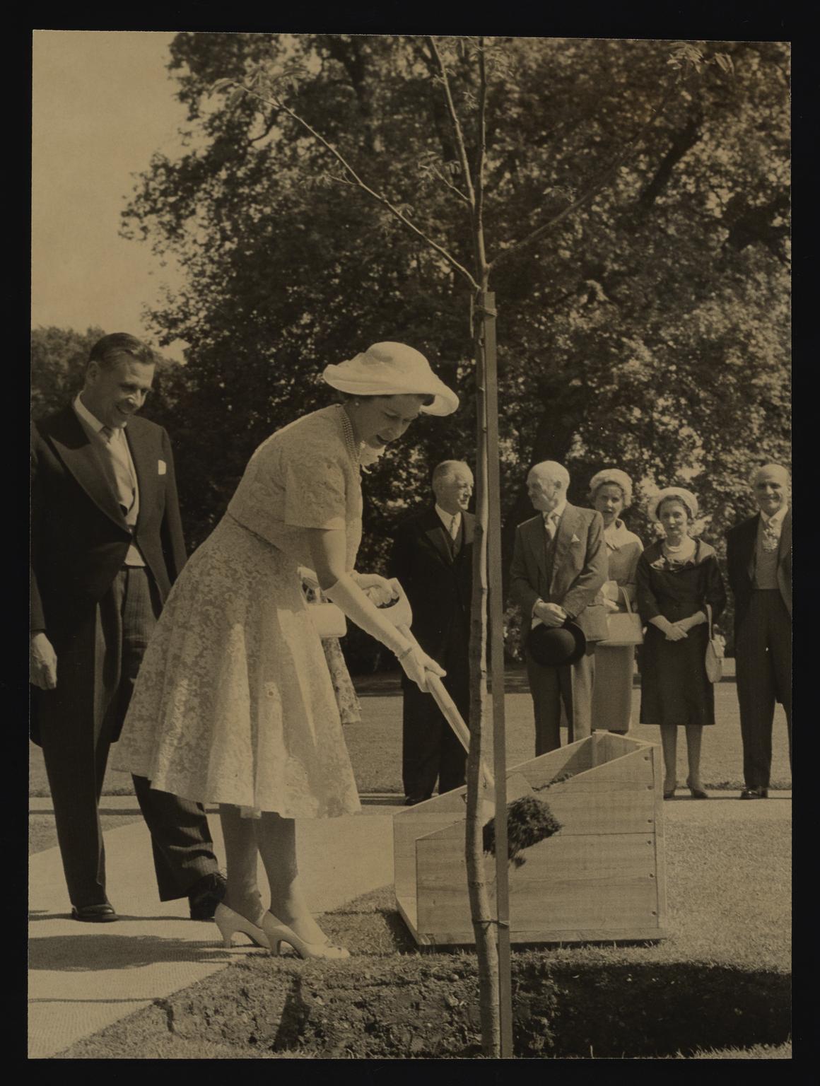 Daily Herald Photograph: Queen Elizabeth II planting tree | Science ...