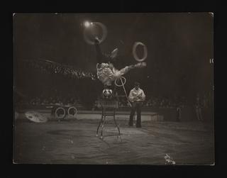 A photographic print of Circus, General, including Audience | Science ...