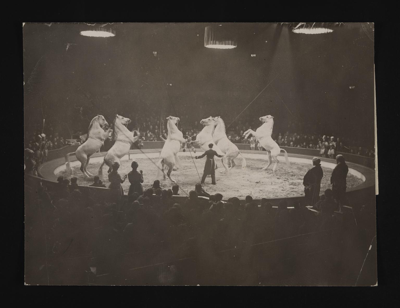 A photographic print of Circus, General, including Audience | Science ...
