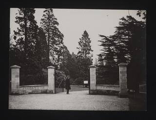 A photographic print of Cemetery | Science Museum Group Collection