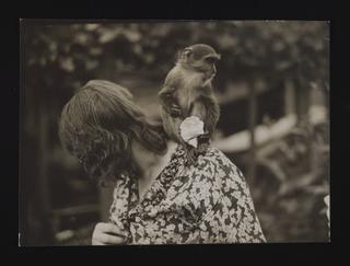 A photographic print of Monkeys | Science Museum Group Collection