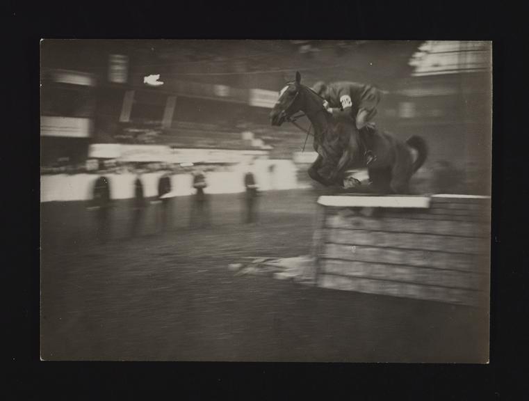 A photographic print of Horse Shows, Jumping Events Only | Science ...