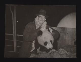 A photographic print of Panda | Science Museum Group Collection