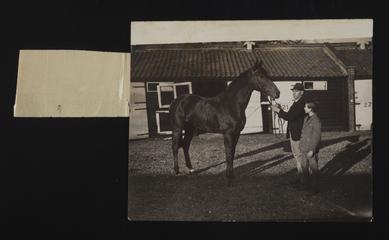 A photographic print of Sports, Racing, Racehorse Sales | Science ...