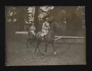 A photographic print of Sports, Racing, Racehorses - General | Science ...