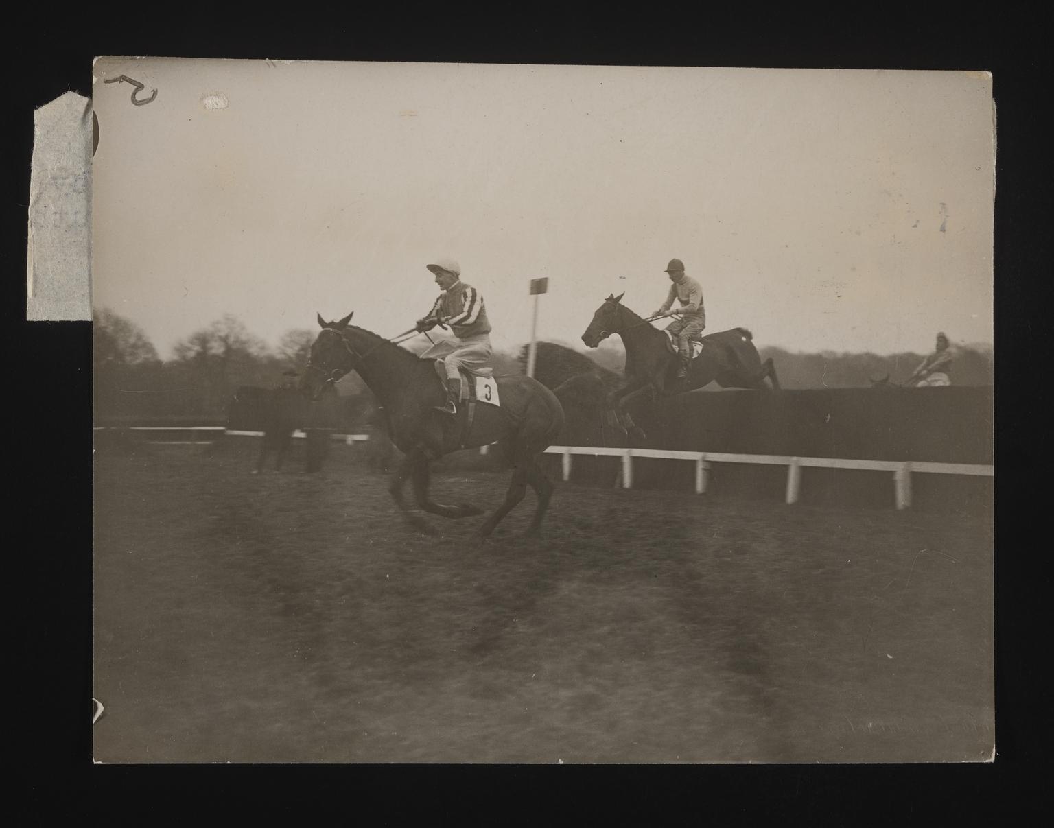 A photographic print of Sports, Racing, Racehorses | Science Museum ...