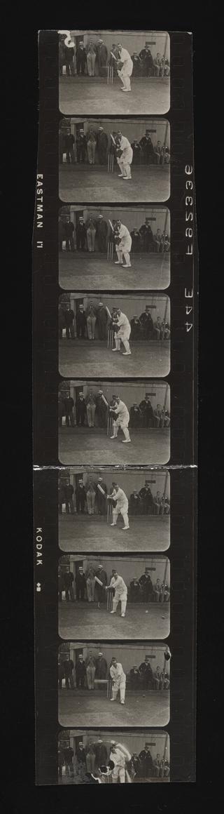 A photographic print of Sports, Cricket, Cricket Teams, Somerset c ...