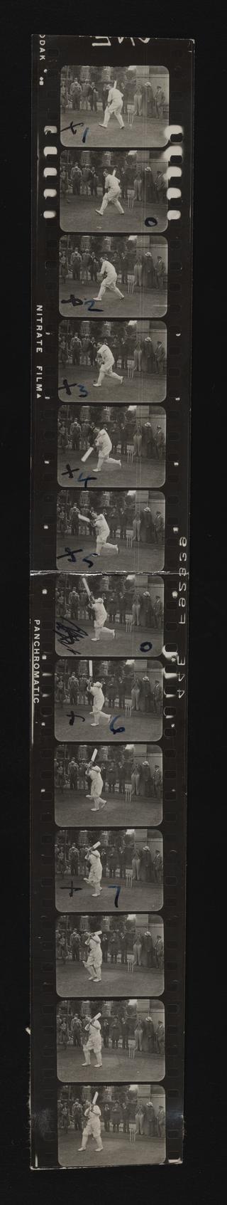 A photographic print of Sports, Cricket, Cricket Teams, Somerset c ...