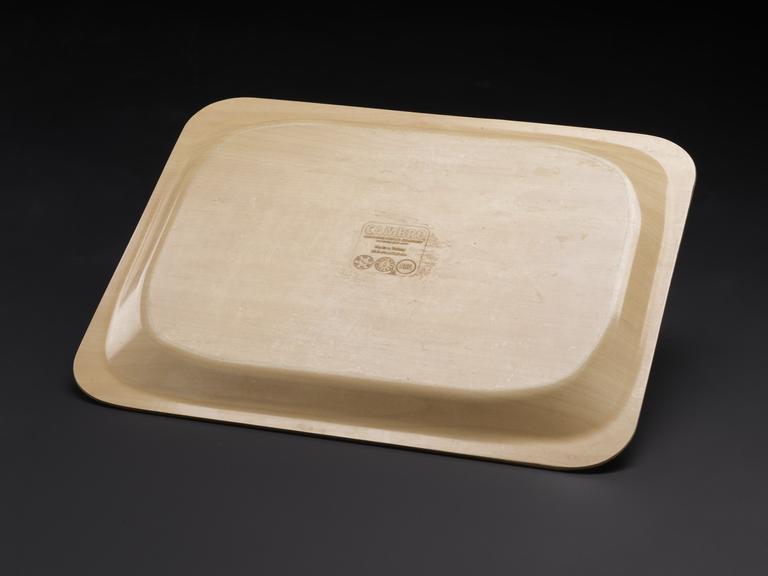 Tray | Science Museum Group Collection