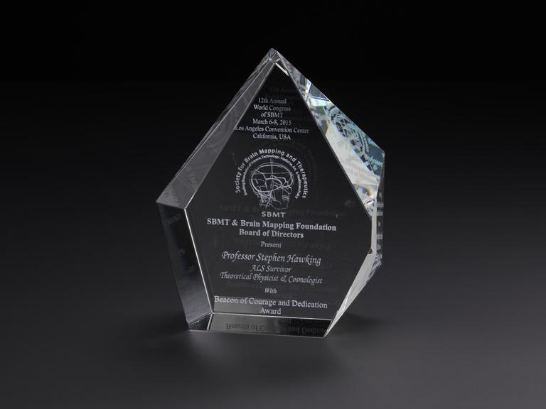 Beacon of Courage and Dedication Award by the Society for Brain Mapping ...