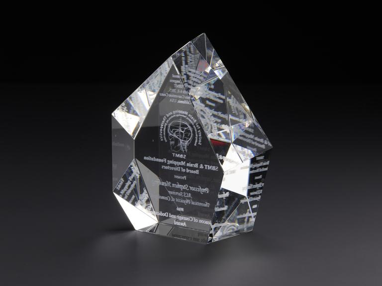 Beacon of Courage and Dedication Award by the Society for Brain Mapping ...