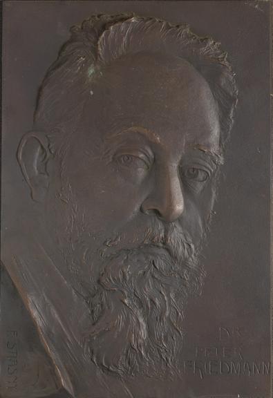 Bronze commemorative plaque to Peter Friedmann | Science Museum Group ...