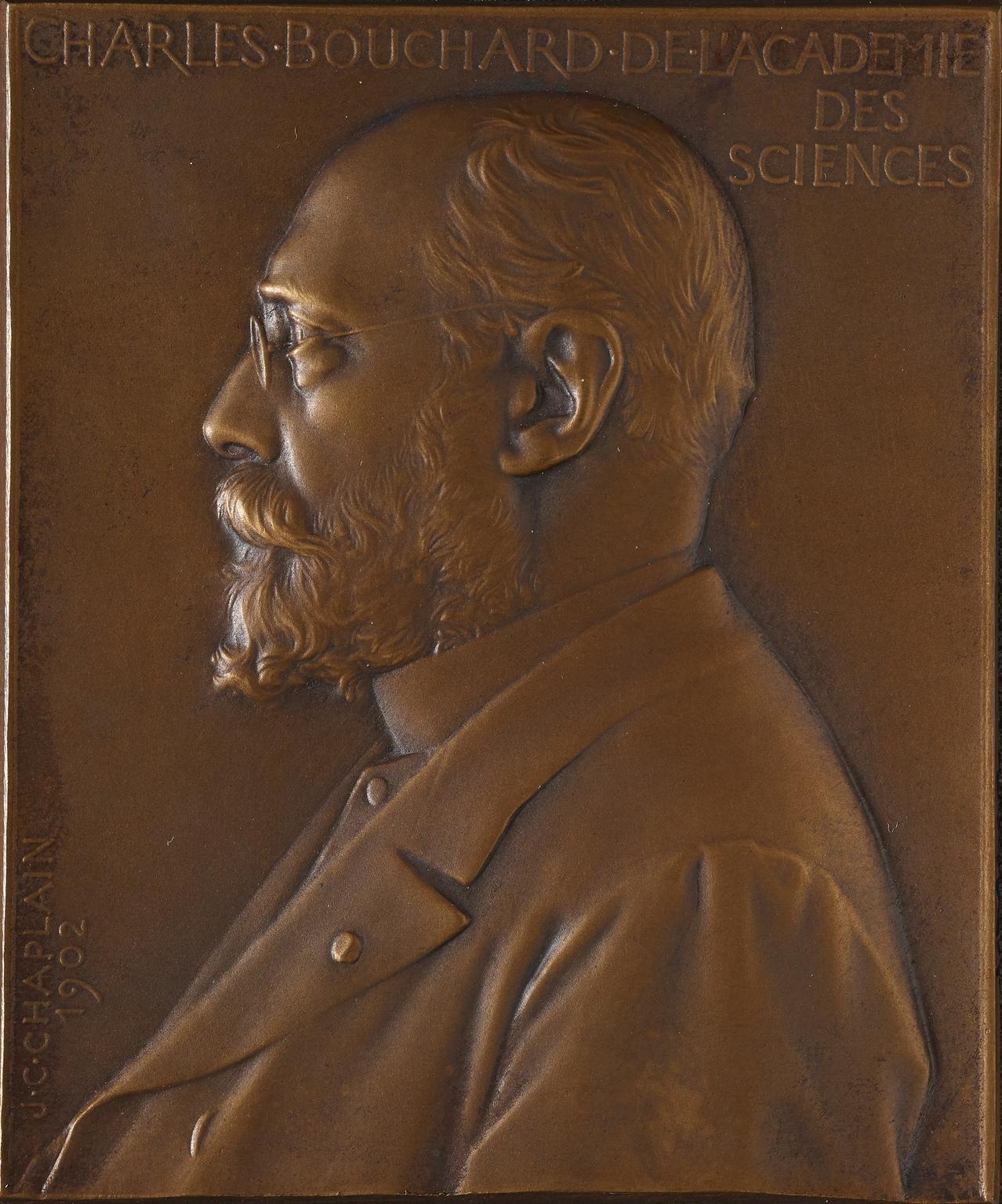 Rectangular bronze medal | Science Museum Group Collection