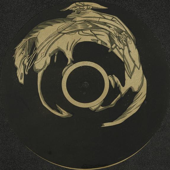 Paper disc; print, anamorphic image | Science Museum Group Collection