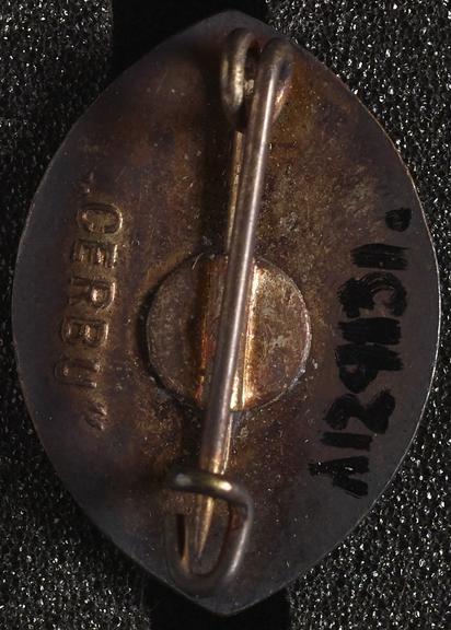 Metal and enamel membership badge | Science Museum Group Collection
