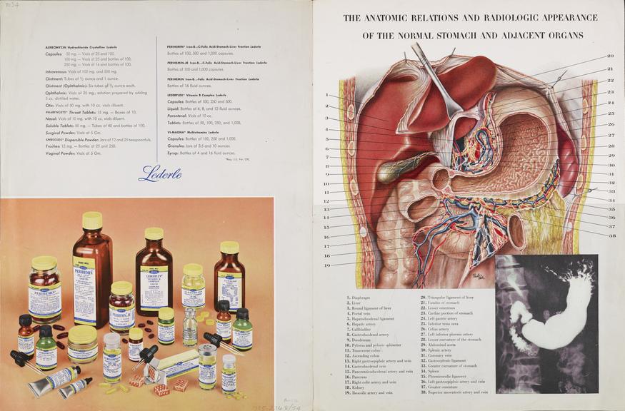leaflet, medical diagrams | Science Museum Group Collection