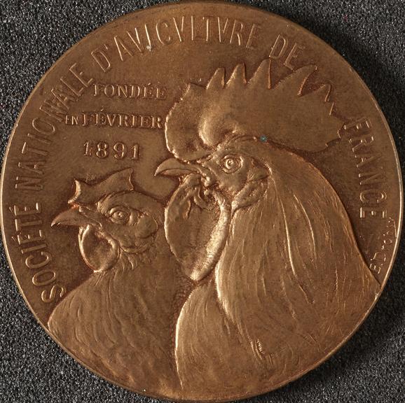 Bronze prize medal awarded by the National Society of Poultry farmers ...