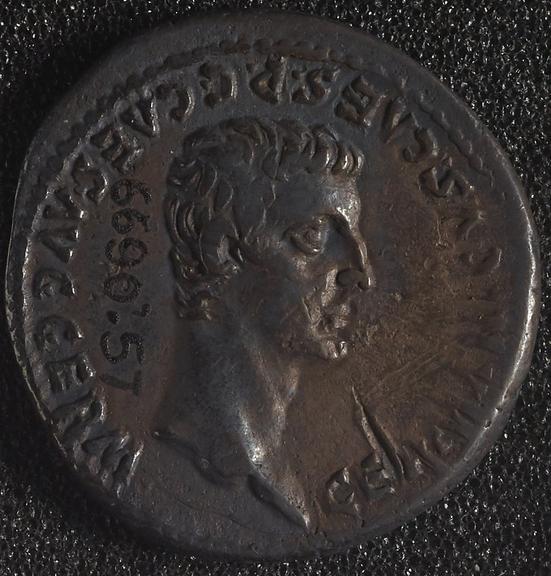 Roman Coin of Caius Cæsar (Caligula) | Science Museum Group Collection