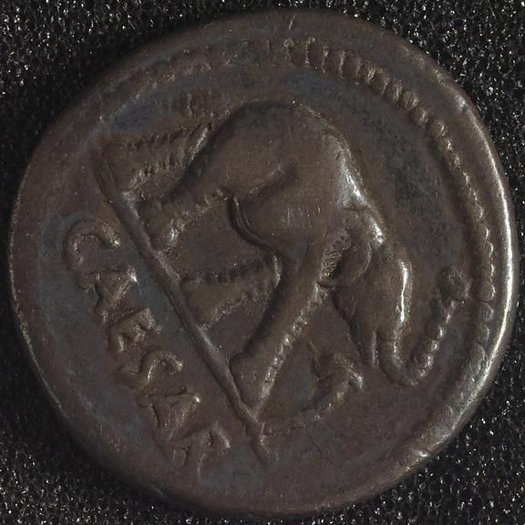 Roman Coin of Julius Caesar | Science Museum Group Collection