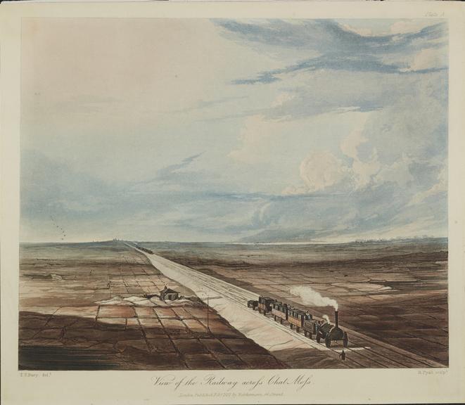 Chat Moss | Science Museum Group Collection