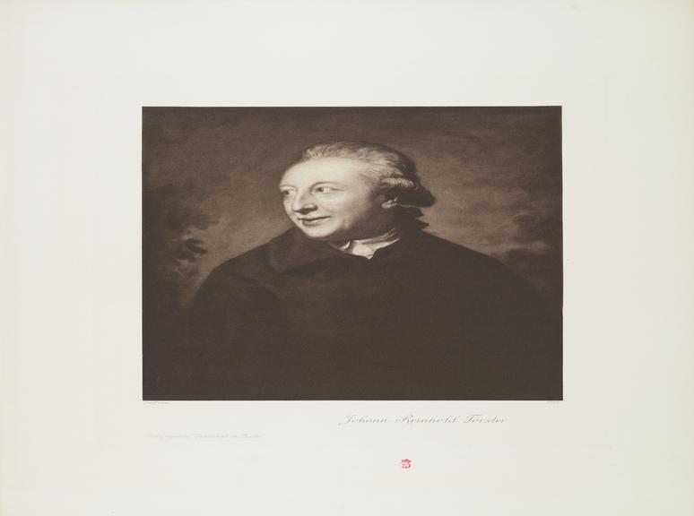 Portrait, photogravure, Johann Reinhold Forster / Photographische ...