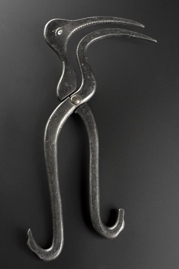 Replica of Ayurvedic surgical instrument representing a curlew ...