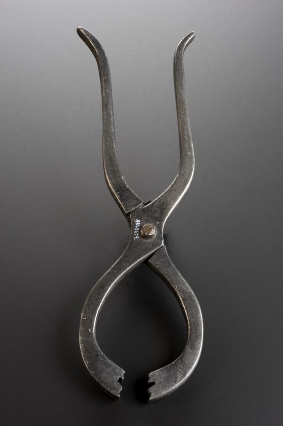 Replica of Ayurvedic surgical instrument representing lion’s mouth ...