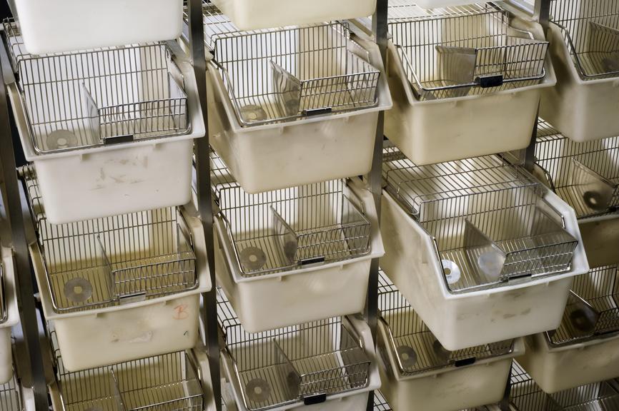 Rodent Housing Unit, England, 1990-1999 | Science Museum Group Collection
