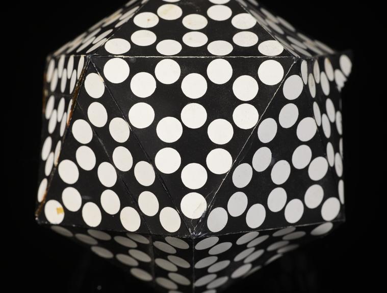 Icosahedron virus particle model made by Dr. June Almeida | Science ...