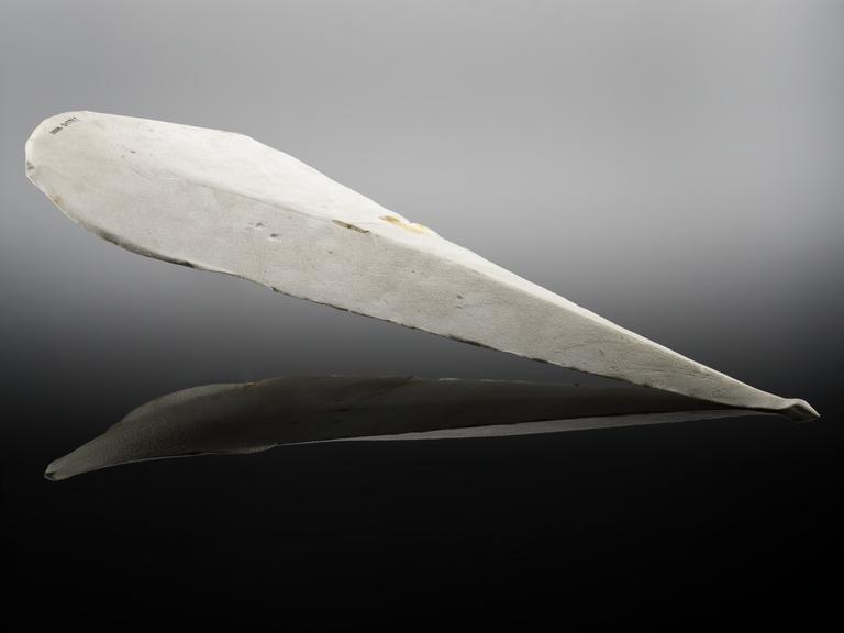 Wing model used during the investigation of the Concorde wing shape ...
