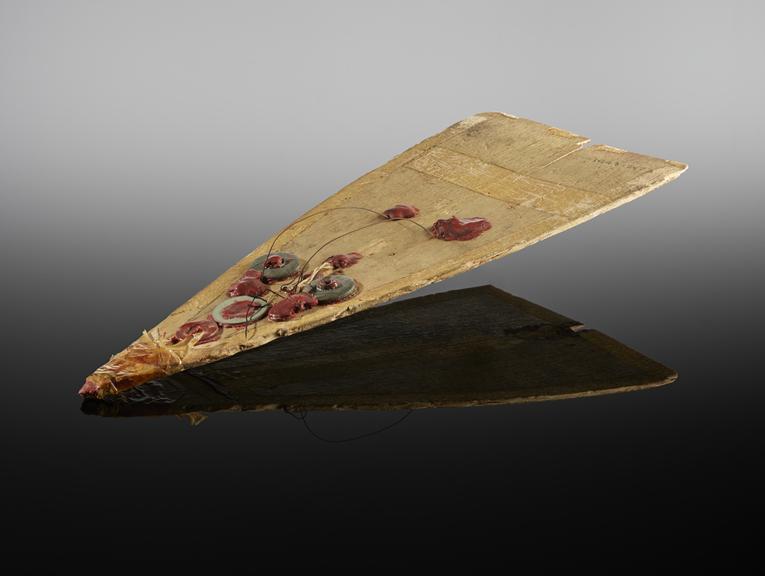 Wing Model used during the Investigation of the Concorde Wing Shape ...