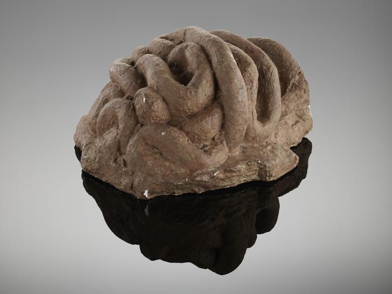 Cast of small intestine | Science Museum Group Collection