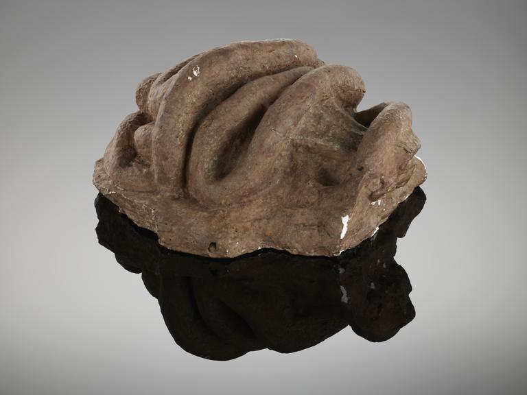 Cast of small intestine | Science Museum Group Collection