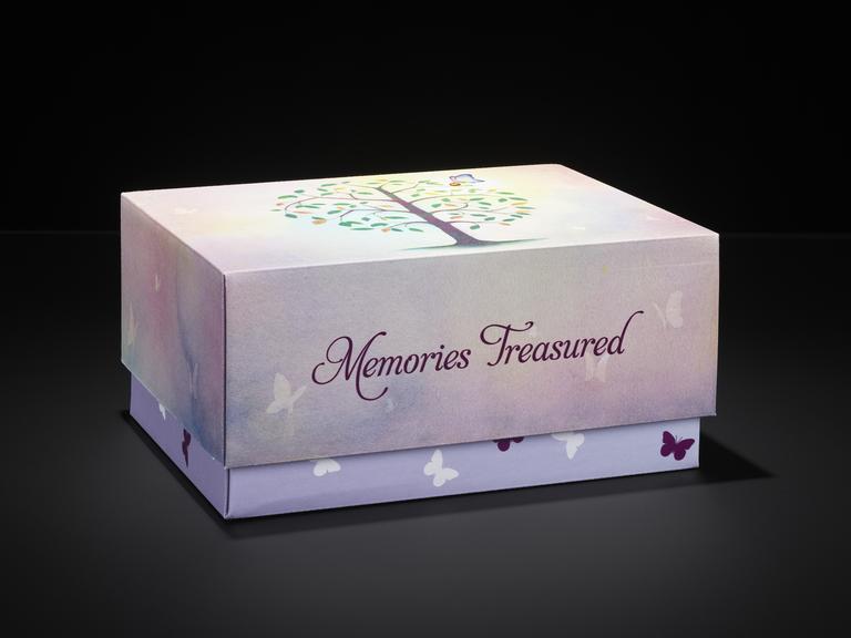 Medium SiMBA memory box | Science Museum Group Collection