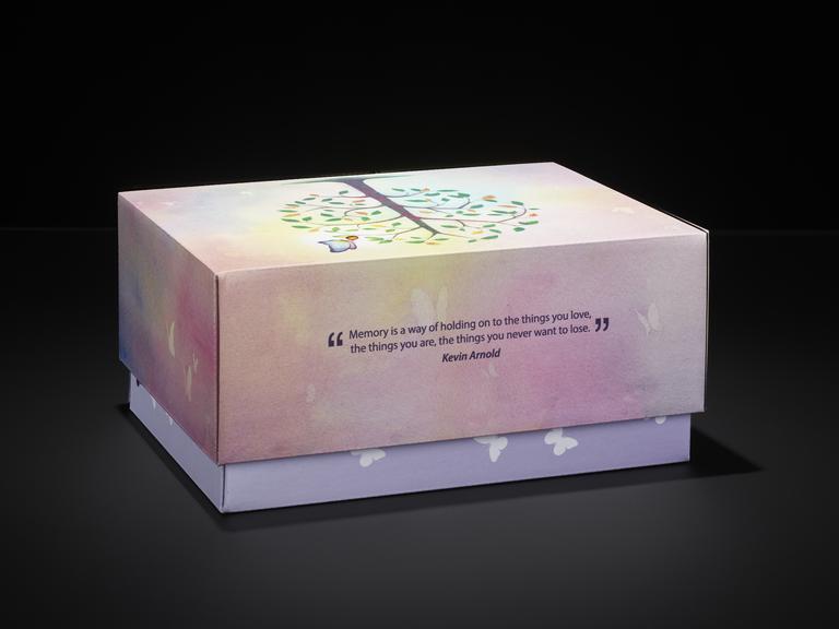 Medium SiMBA memory box | Science Museum Group Collection