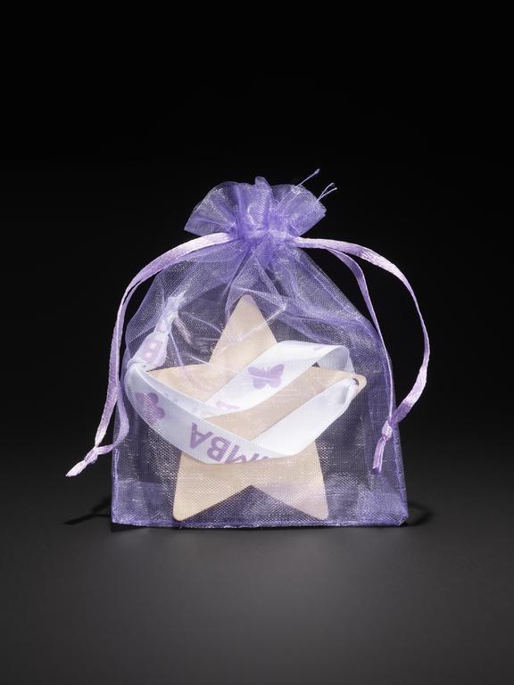 Medium SiMBA memory box | Science Museum Group Collection