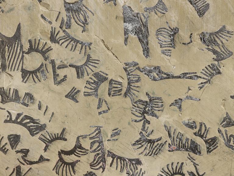 Sample of Simulated Intermediate Level Waste by BNFL, 1990. | Science ...