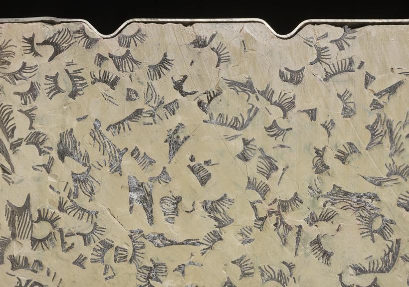 Sample of Simulated Intermediate Level Waste by BNFL, 1990. | Science ...