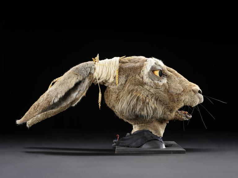 Animatronic head of the March Hare from 'Alice in Wonderland' | Science ...